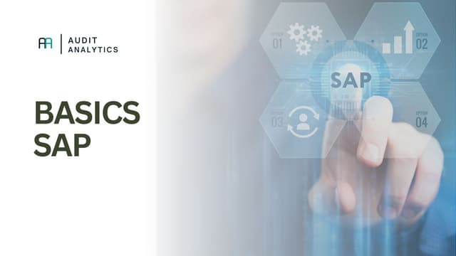 SAP & GITC: Key Components - The Audit Analytics